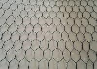 China Hexagonal wire mesh for sale