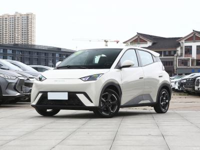 China BYD Seagull 55KW Pure Electric Car 305km Range 5 Door Hatchback for sale