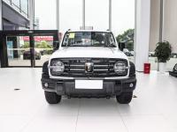 China 2024 Tank 300 2.0T Gasoline SUV 5 Seats 2187kg White Conqueror Fuel Car for sale