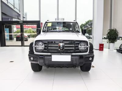 China 2024 Tank 300 2.0T Gasoline SUV 5 Seats 2187kg White Conqueror Fuel Car for sale