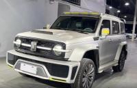 China Used Cybertank 300 2021 2.0T Gasoline SUV 227HP L4 5 Door 5 Seat for sale
