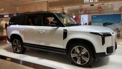 China Polestones 01 2024 Hybrid SUV 5 Door 5 Seat 5050x1980x1869mm 350HP 740Nm for sale