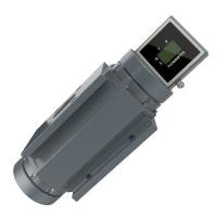 China Roots Gas Flowmeter for sale