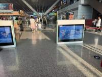 China Robust Versatile Platform Screen Doors Weight Capacity Up To 500kg for sale