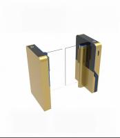 China Speed Gates for Gym Fitness Center Entrance Access Control Management System Solution Turnstile Space Saving for sale