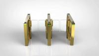 China Gold DC Motor 900mm Speed Gate Turnstile For Banks for sale