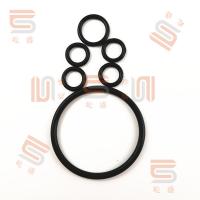 China 75 Shore A High Temperature Resistant FFKM Kalrez O Ring for sale