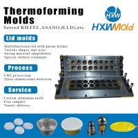 China Automatic Plastic Thermoforming Mold for Food Packaging Industry for sale