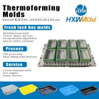 China OEM Plastic Box Mould Vacuum Forming Freshness Preserving Box Mould for sale