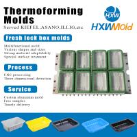 China High Precision Square Food Plastic Container Mold for Thermoforming for sale