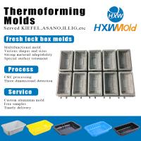 China High Precision Thermoforming Mold Plastic resh Keeping Box Food Container Mold for sale