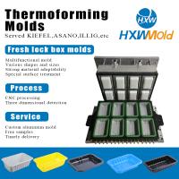 China Multi Cavity PP Plastic Container Mold Leak Proof Microwave Safe Locking Box Mold for sale