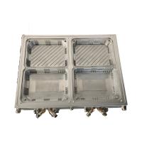 China HXWMold Fresh Fruit Box Blister Packaging Box Plastic Food Container Thermoforming Machine Mould for sale