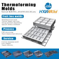 China HXWMold Fresh Fruit Box Blister Packaging Box Plastic Food Container Thermoforming Machine Mould for sale