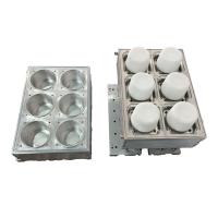 China Automatic Cake Packaging Blister Mold for Production with Integrated Cooling System for sale