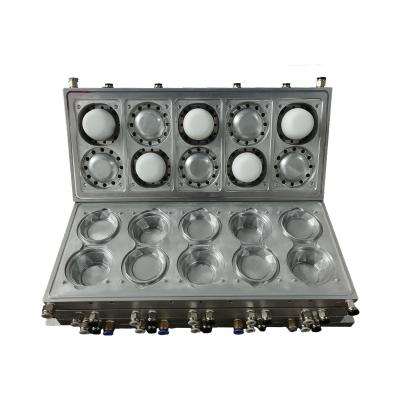 China Plastic Mould Multi Station Thermoforming Egg Tart Mould for sale