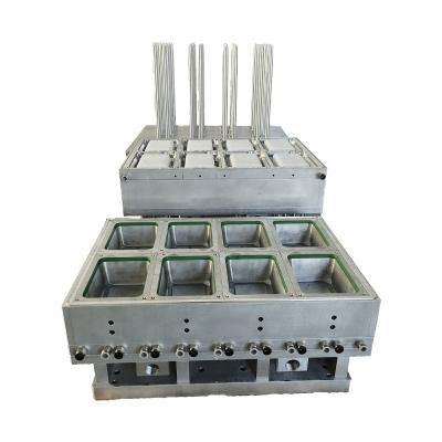 China HXWMold Fresh Fruit Box Blister Packaging Box Plastic Food Container Thermoforming Machine Mould for sale