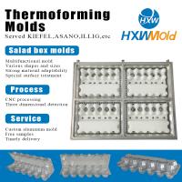 China Positive Negative Pressure PET Egg Tray Mold Custom Thermoforming Molds for sale