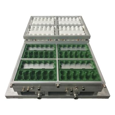 China OEM 12 Cell Egg Carton Mold For Thermoforming Machine Molds Product for sale
