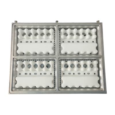 China Durable Egg Tray Mold 12 Cavity Plastic Food Packaging Moulds for sale