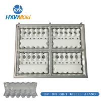 China Durable Egg Tray Mold 12 Cavity Plastic Food Packaging Moulds for sale