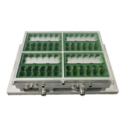 China High Precision 12 Cavity Egg Tray Mold Aluminum For Thermoforming Equipment for sale