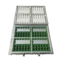 China Personalized One Time Egg Tray Mold Hot Molding Thermoforming Molds Multiple Station for sale