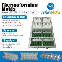 China Personalized One Time Egg Tray Mold Hot Molding Thermoforming Molds Multiple Station for sale