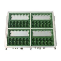 China Multi Station Hot Forming One Time Egg Container Mold Customized for sale