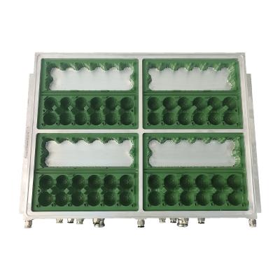 China Multi Station Hot Forming One Time Egg Container Mold Customized for sale