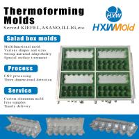 China Multi Station Hot Forming One Time Egg Container Mold Customized for sale