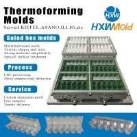 China 3 Station Automatic CNC Plastic Egg Carton Mould Hot Cold Runner Thermoforming Mold for sale