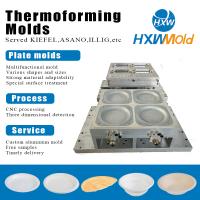 China Fully Automatic Plastic Plate Mould CNC Aluminum Vacuum Thermoforming Mold Customized for sale