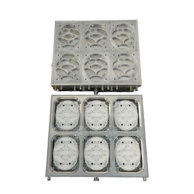 China HXWMOLD Dumpling PP Plastic Tray Mould Thermoforming Food Packaging Mold for sale