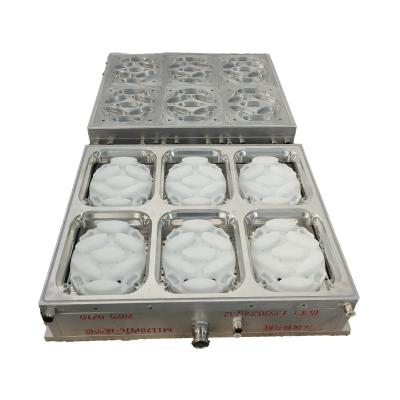 China PET Transparent Vacuum Forming Mold Clear Dumpling Packaging Mold for sale
