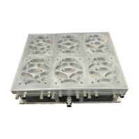 China Eco Friendly Biodegradable PLA Plastic Tray Mould Sustainable Food Tray Mold for sale