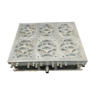 China Eco Friendly Biodegradable PLA Plastic Tray Mould Sustainable Food Tray Mold for sale