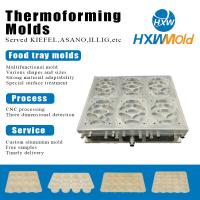 China Eco Friendly Biodegradable PLA Plastic Tray Mould Sustainable Food Tray Mold for sale