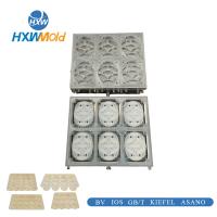 China Plastic Dumpling Tray Thermoforming Mold High Precision PET PP Food Packaging Mold for sale