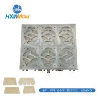 China Customizable Multi Cavity Plastic Tray Mould Aluminum Fast Food Dumpling Tray Mold for sale