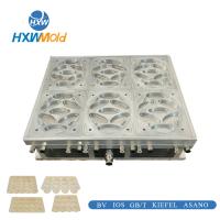 China Customizable Multi Cavity Plastic Tray Mould Aluminum Fast Food Dumpling Tray Mold for sale