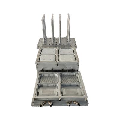 China Thermoforming Plastic Fruit Box Mold Vacuum Forming Positive Negative Pressure Service for sale