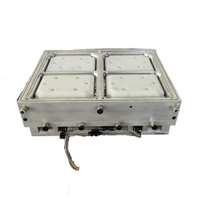 China Automatic Thermo Seed Tray Mold Blueberry Container Blister Packaging Mold Vacuum Forming for sale