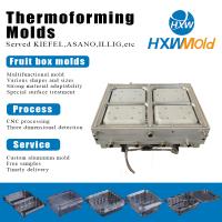 China Automatic Thermo Seed Tray Mold Blueberry Container Blister Packaging Mold Vacuum Forming for sale