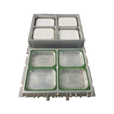 China PP Plastic Cake Box Container Fully Automatic Three Station Thermoforming Fruit Packaging Mold for sale