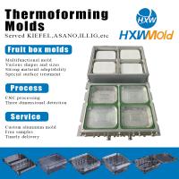 China PP Plastic Cake Box Container Fully Automatic Three Station Thermoforming Fruit Packaging Mold for sale