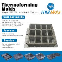 China Customizable Plastic Fruit Tray Mould Vacuum Forming 0.02mm - 0.05mm Tolerance for sale