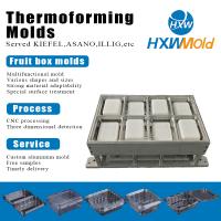 China Food Safe Thermoforming Fruit Box Container Packaging Mold with Fast Delivery Lead Time for sale