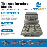 China Vacuum Forming Plastic Fruit Box Mold High Precision CNC Aluminum Thermoforming Mould for sale