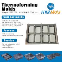 China Custom Designed Ventilated Berry Container Mould Premium Product Category for sale